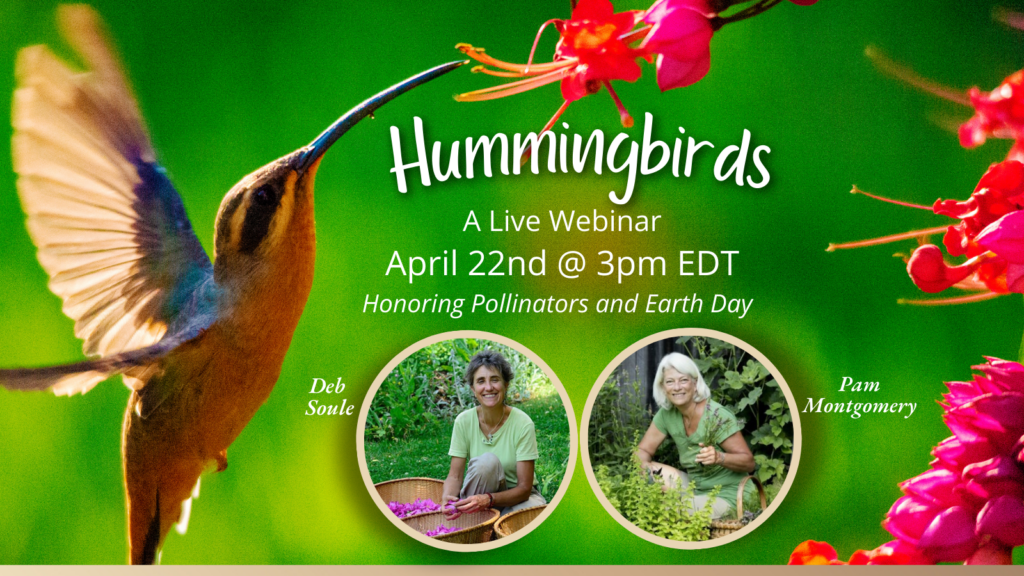 Hummingbirds: Honoring Pollinators and Earth Day with Deb Soule and Pam ...