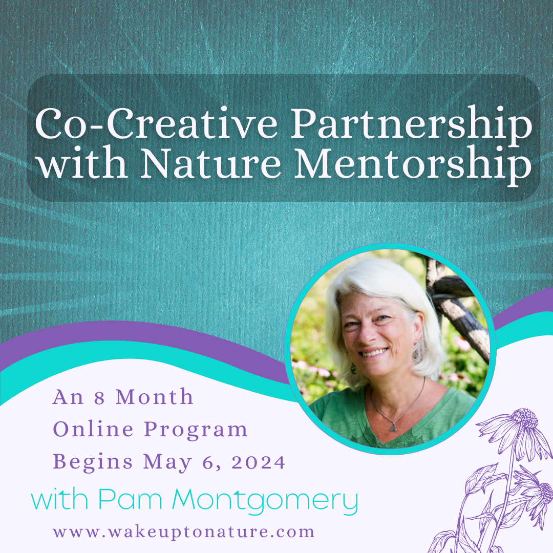 Co-Creative Partnership with Nature Mentorship - Wake up to Nature